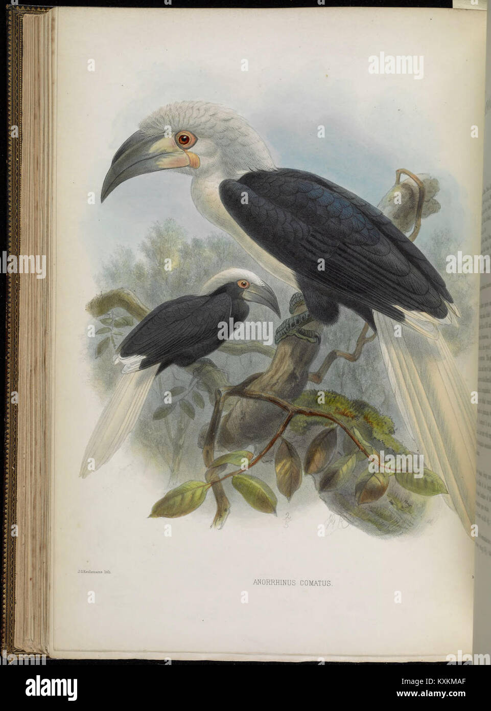 Scientific monograph reference hi-res stock photography and images - Alamy