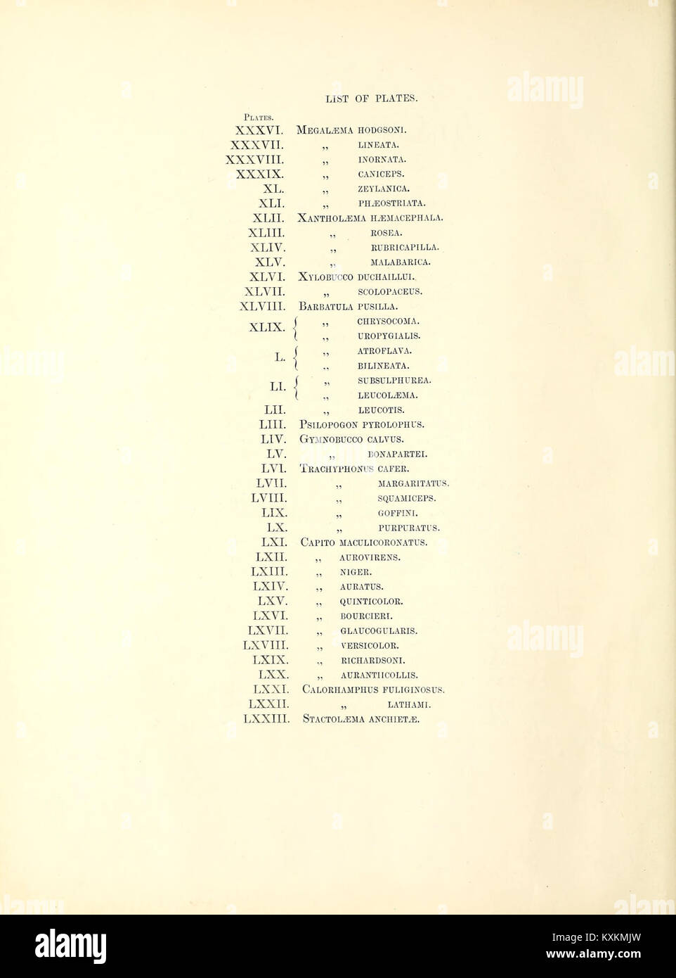 This monograph focuses on the Capitonidae family, also known as ...