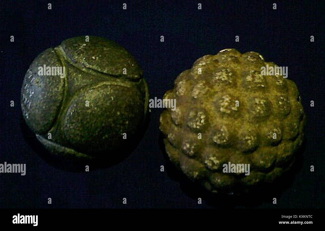 BLW Carved Stone Balls (cropped Stock Photo - Alamy