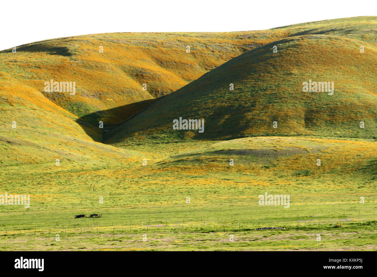 Bitterwater High Resolution Stock Photography and Images - Alamy