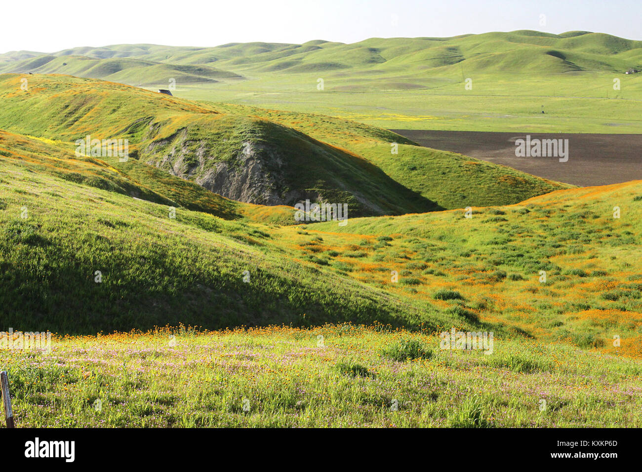 Bitterwater High Resolution Stock Photography and Images - Alamy