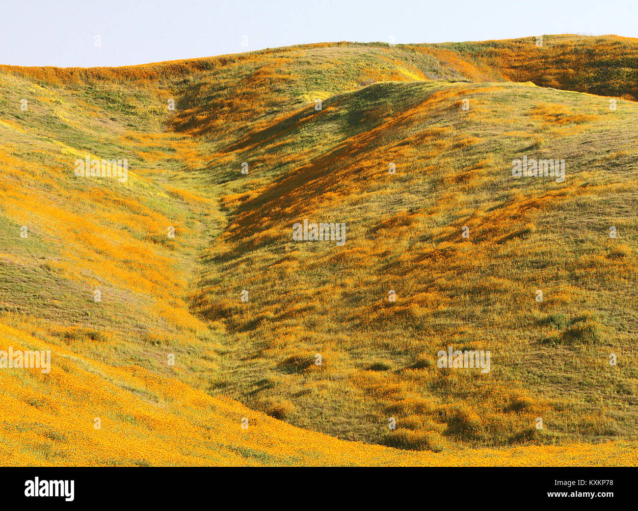 Bitterwater hi-res stock photography and images - Alamy