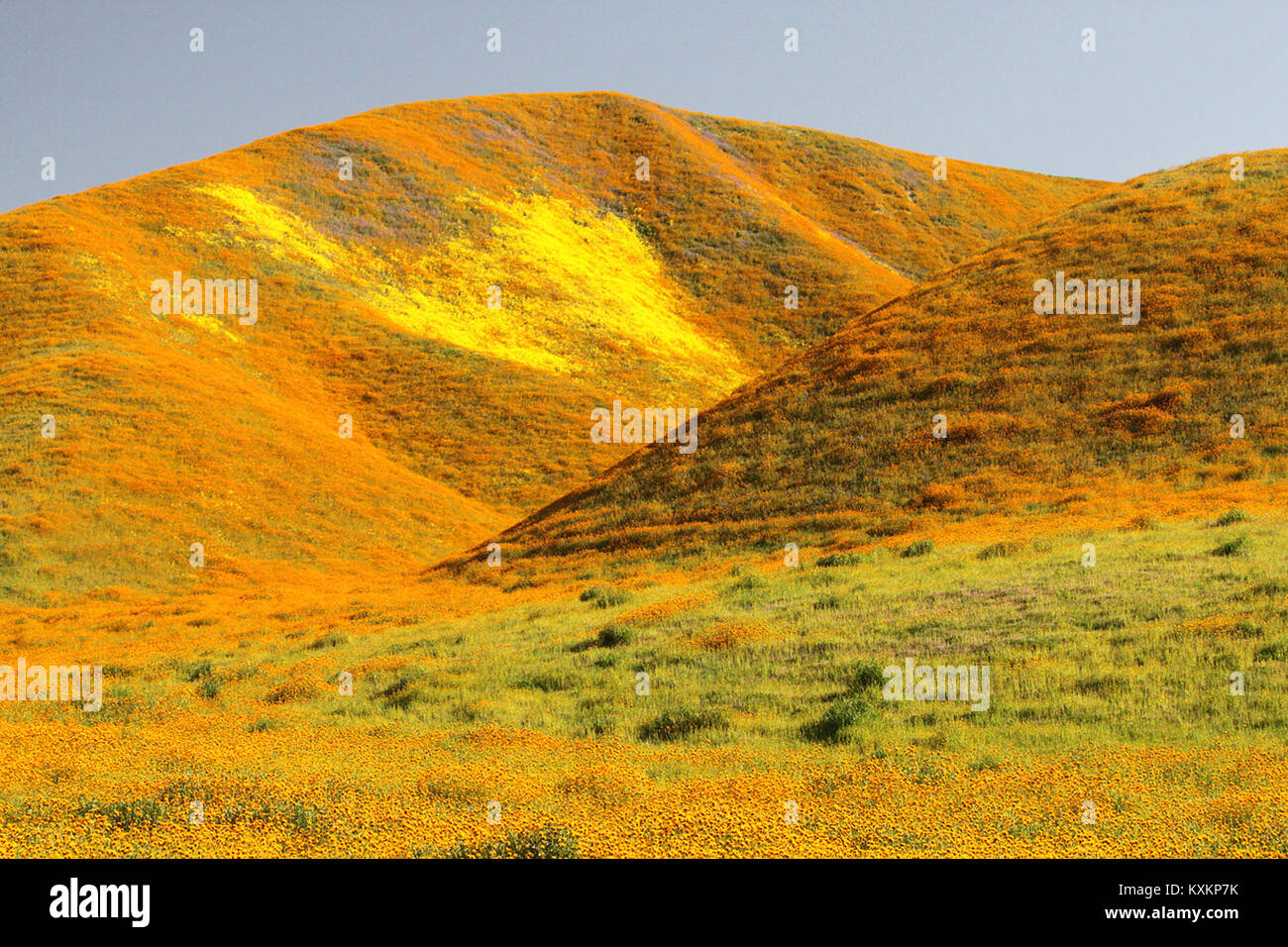 Bitterwater Valley is a geographical area in California, United States ...