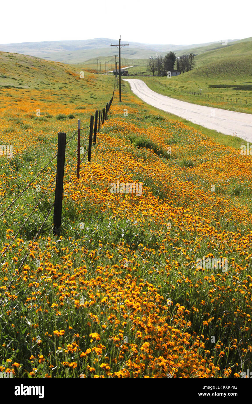 Bitterwater Valley is a geographical region, possibly located in the ...