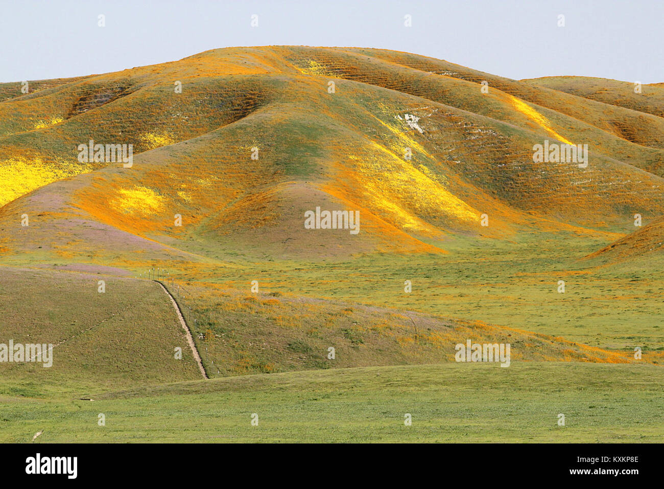 This photograph from Bitterwater Valley in California captures the arid ...