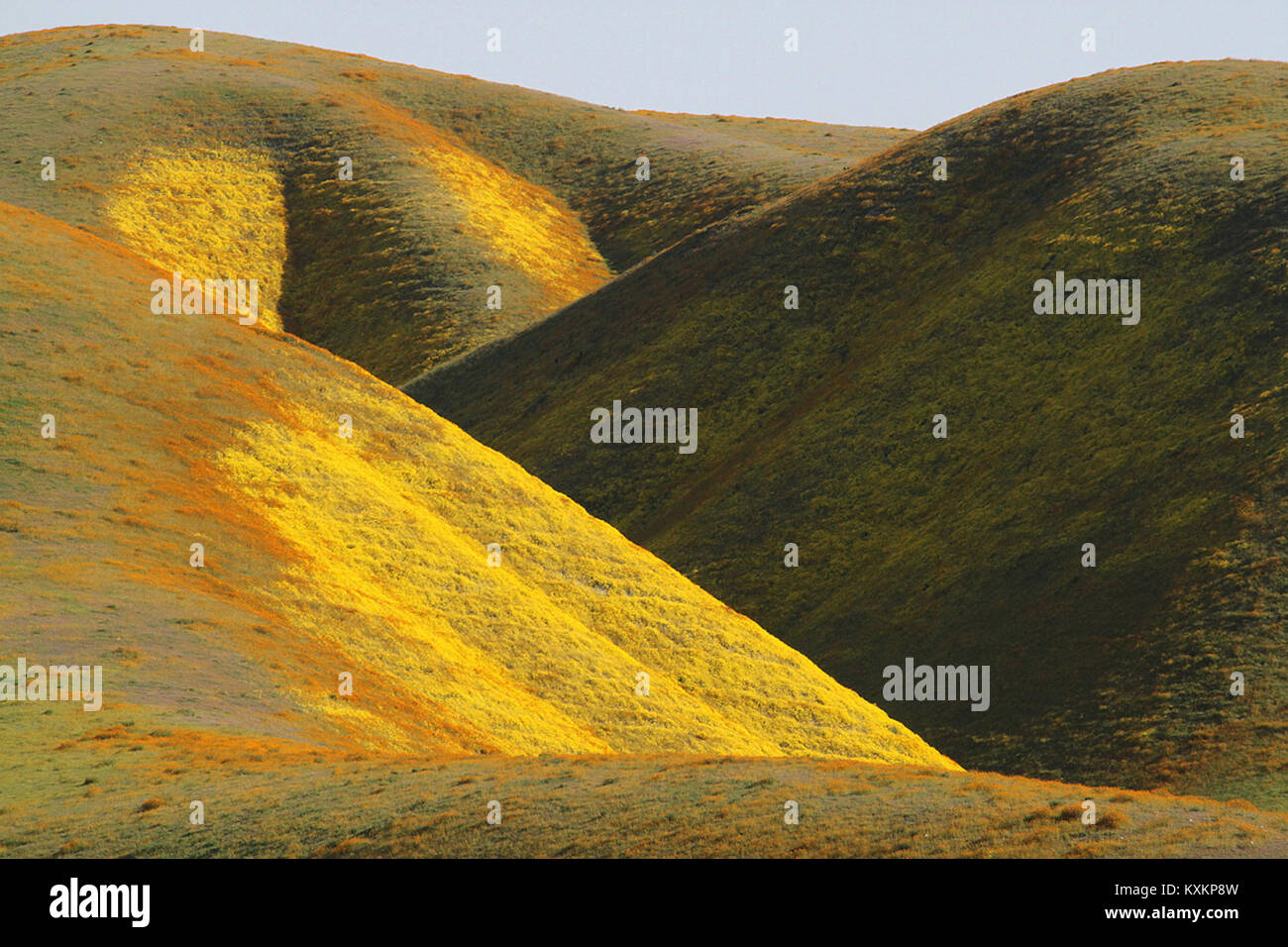 BITTERWATER VALLEY (3-18-10) –043 copy (4464213639 Stock Photo - Alamy