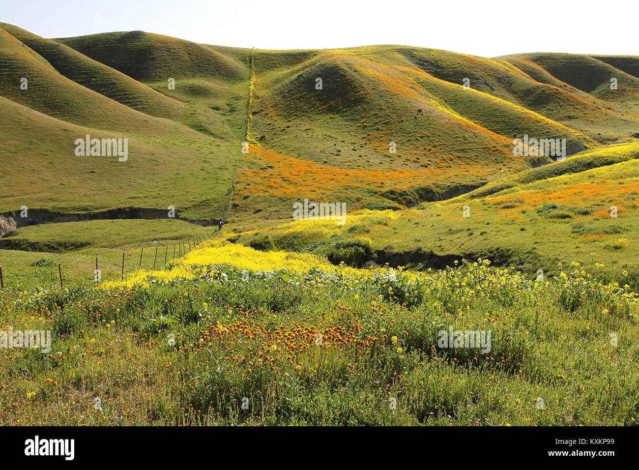 Bitterwater High Resolution Stock Photography and Images - Alamy