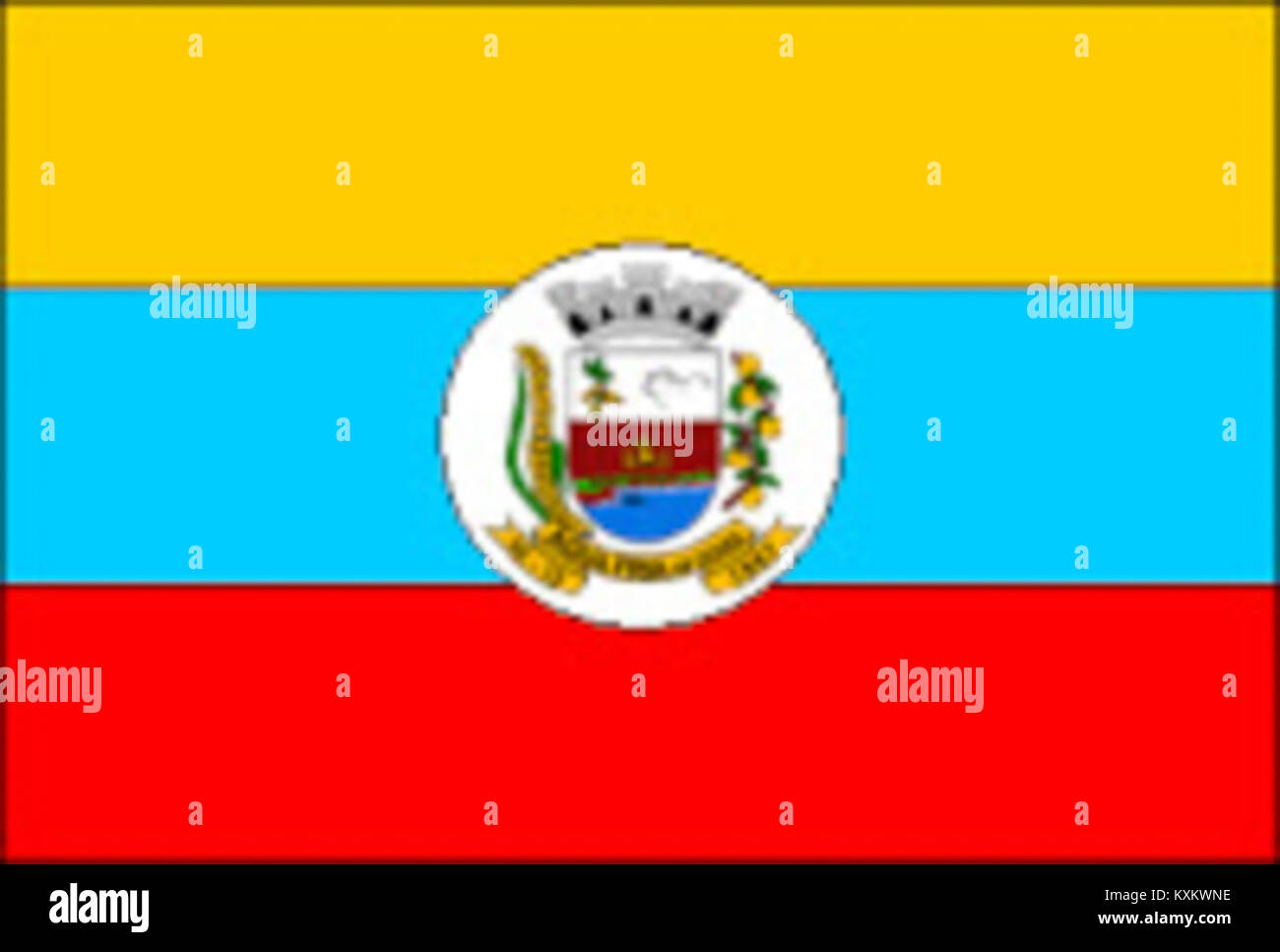 The flag of Água Fria de Goiás, Brazil, featuring official colors and ...