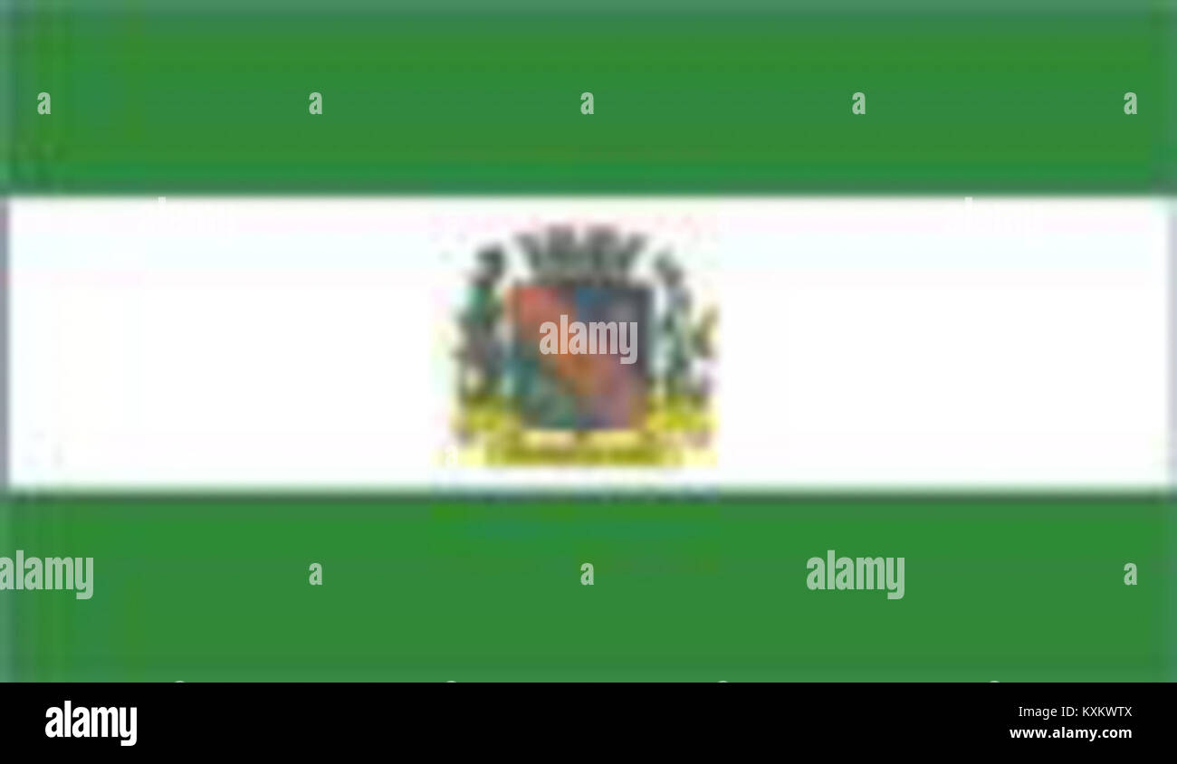 Flag of the empire of brazil hi-res stock photography and images - Alamy