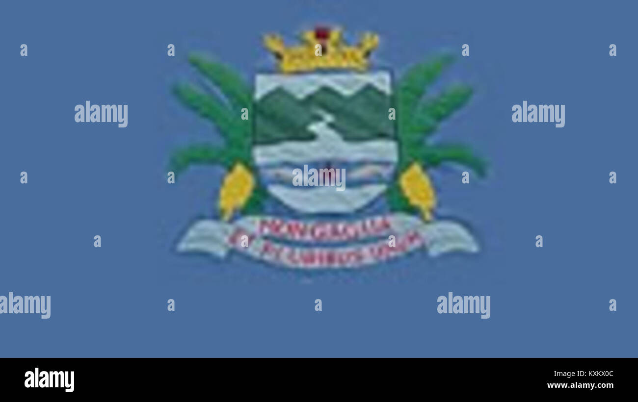 The flag of Mongaguá, Brazil, displaying official symbols, municipal ...