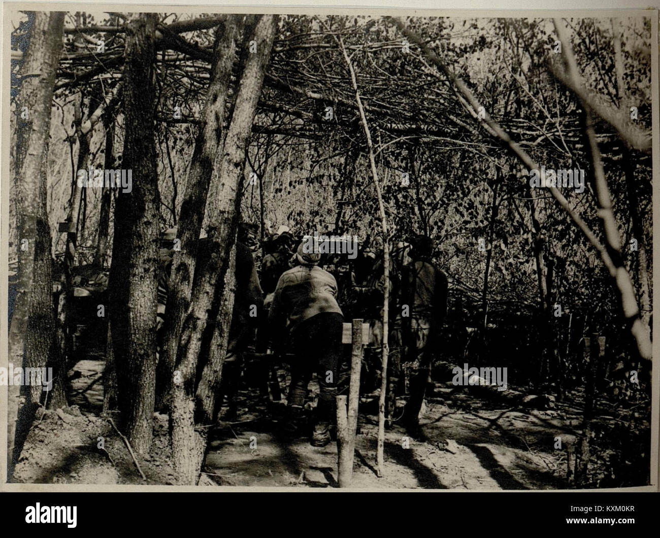 The image shows a battery position in Taslanwald with a firing position ...