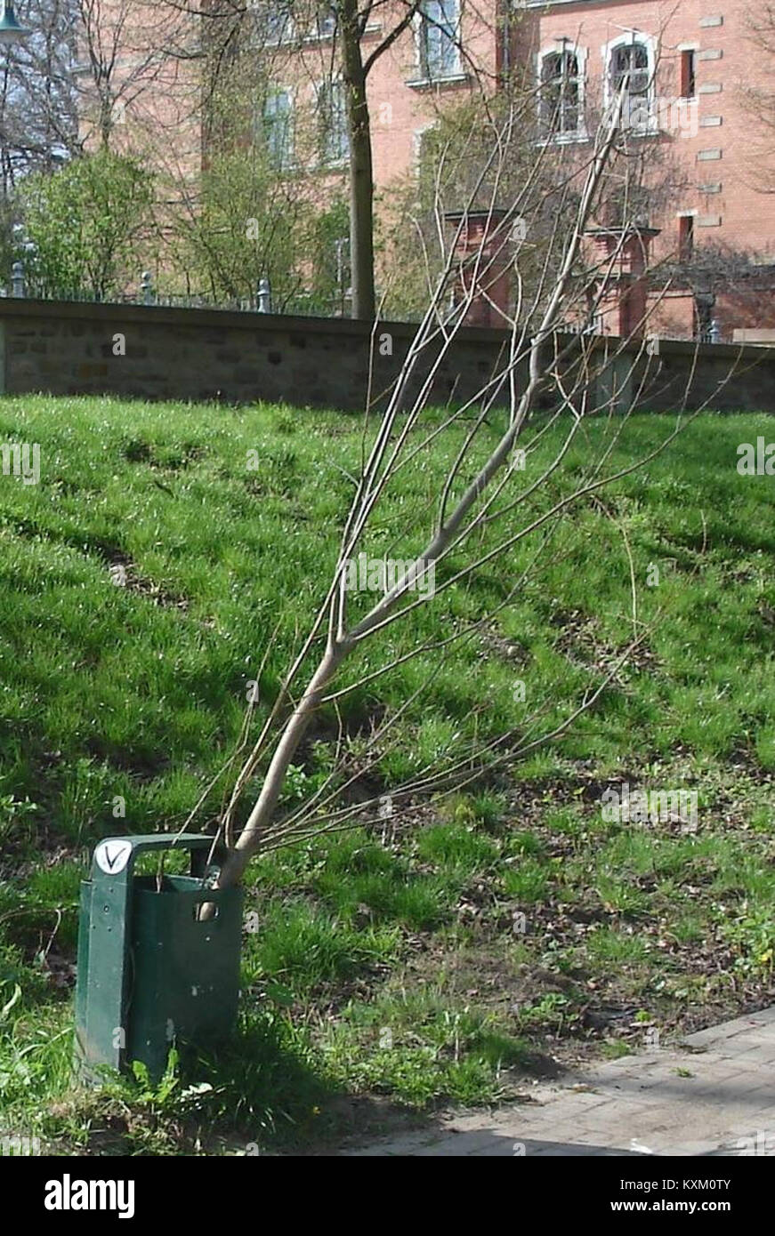 Trash can visual hi-res stock photography and images - Alamy