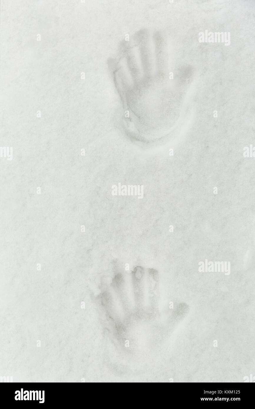 Handprint on snow Stock Photo - Alamy