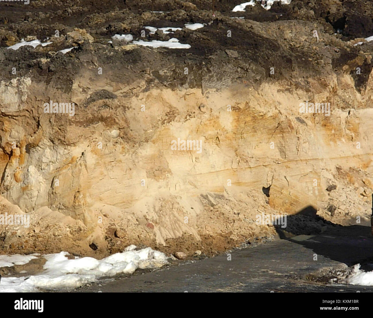 Bdg górny taras profil glebowy b Stock Photo - Alamy