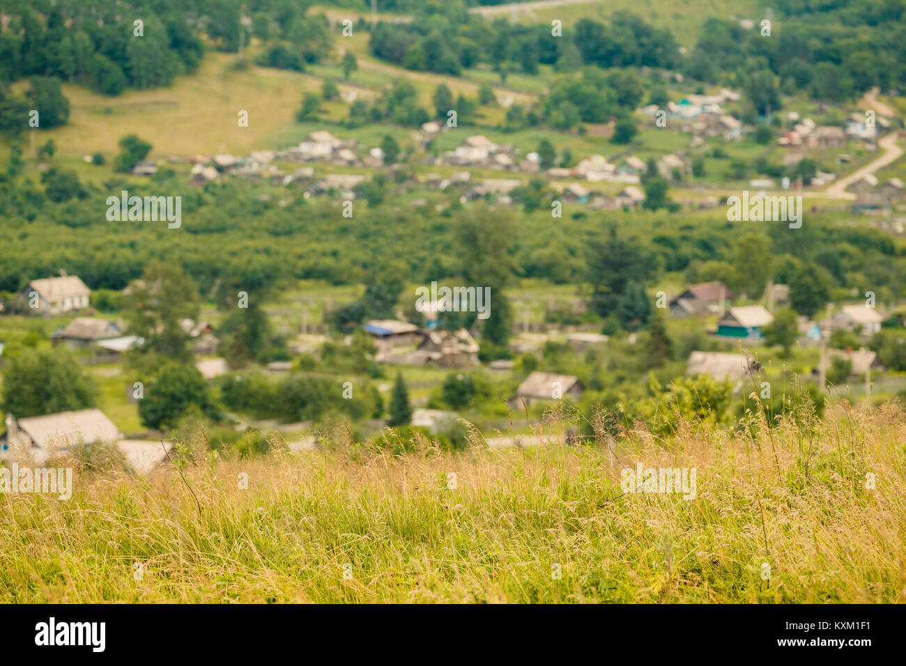 Summer meadow backdrop Stock Photo - Alamy