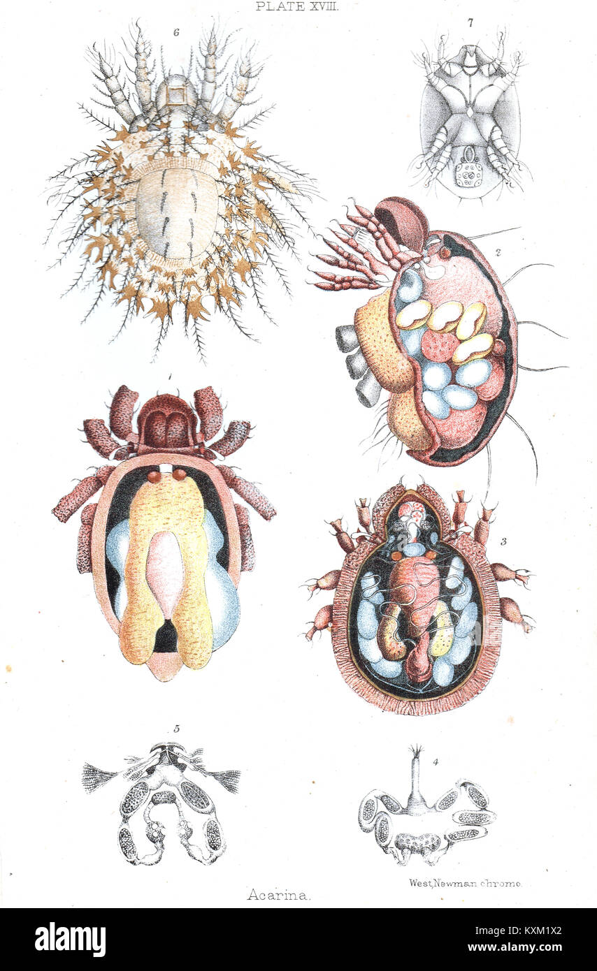 Science history hi-res stock photography and images - Alamy