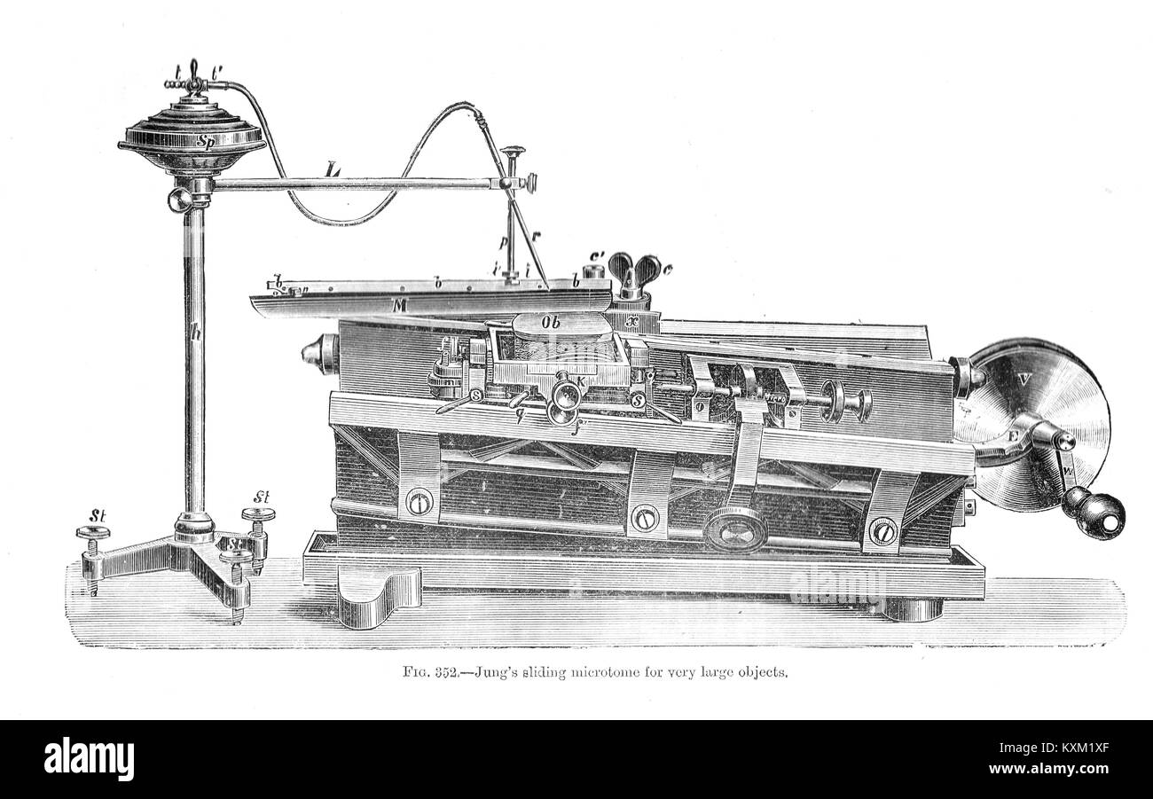 Jungs sliding microtome hi-res stock photography and images - Alamy
