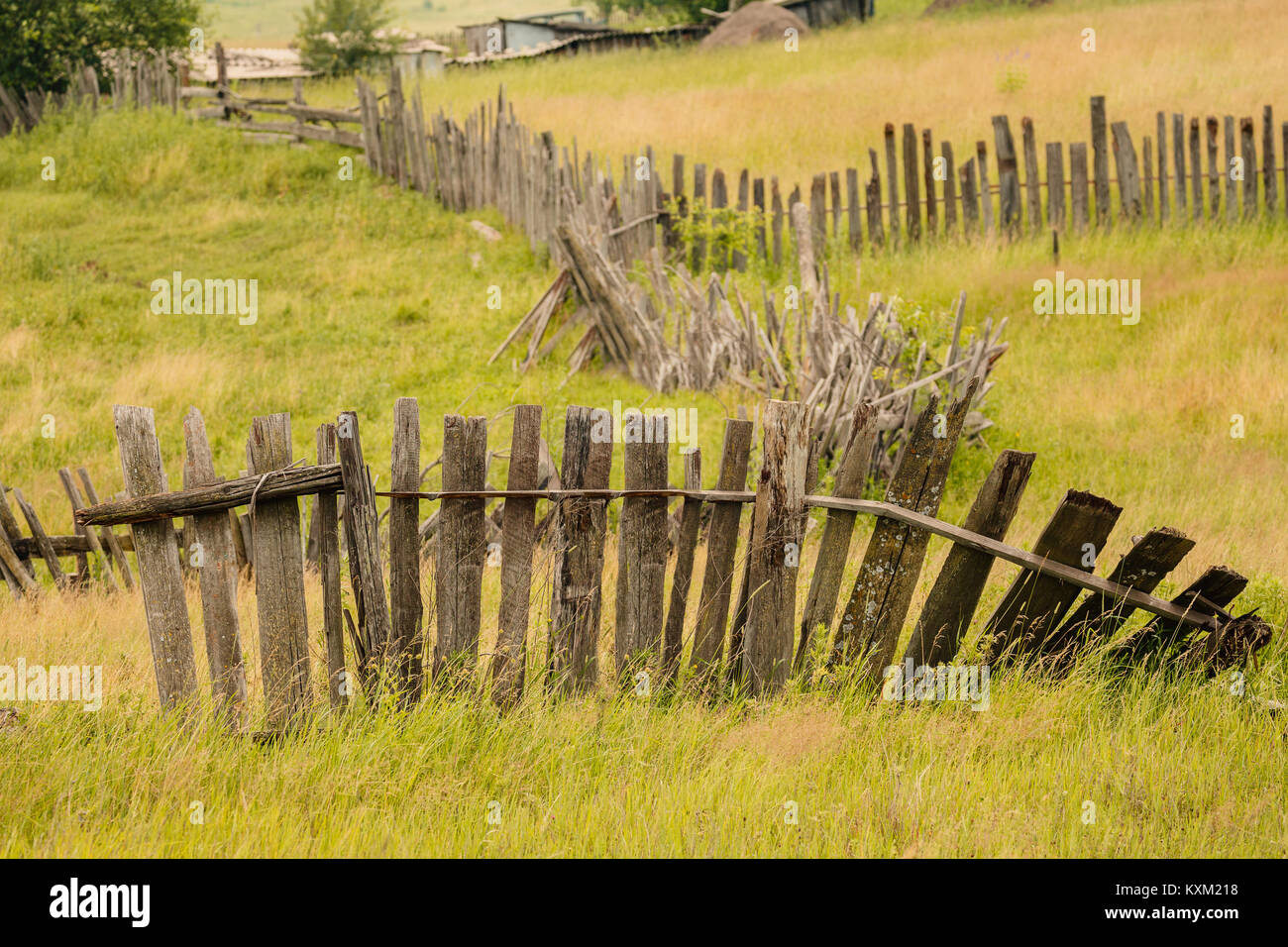Summer meadow backdrop Stock Photo - Alamy