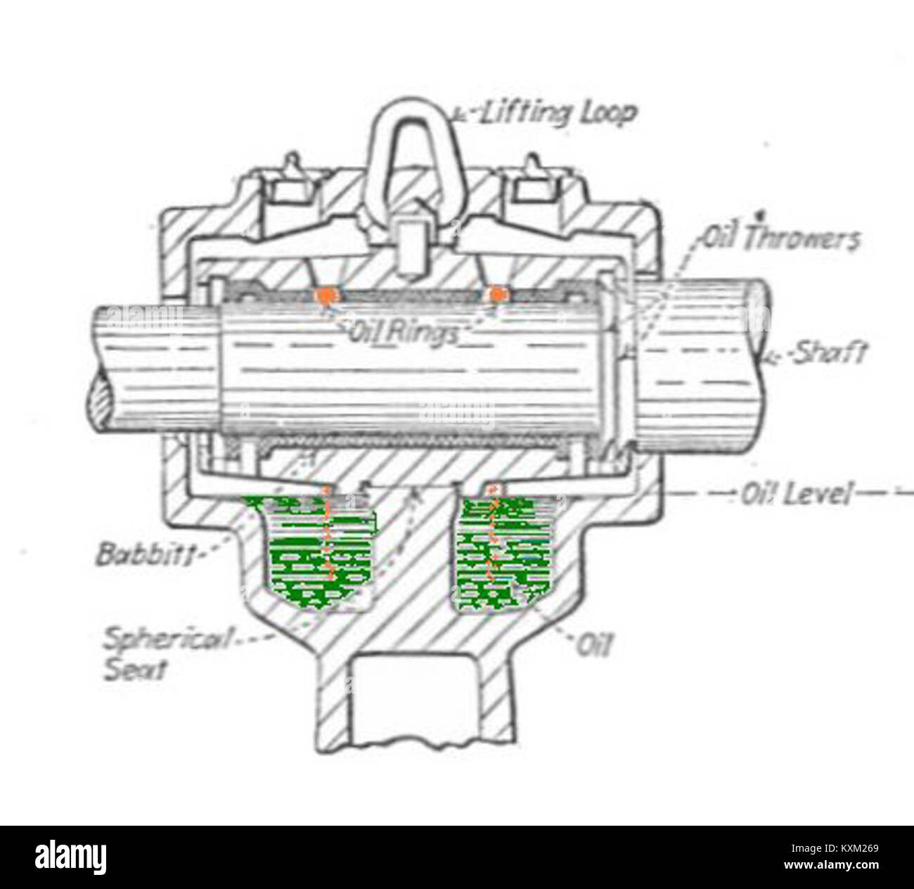 Bearing showing Cut Out Stock Images & Pictures - Alamy
