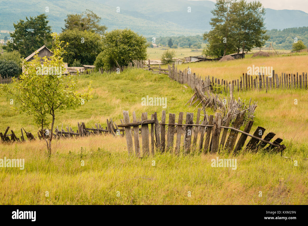 Summer meadow backdrop Stock Photo - Alamy