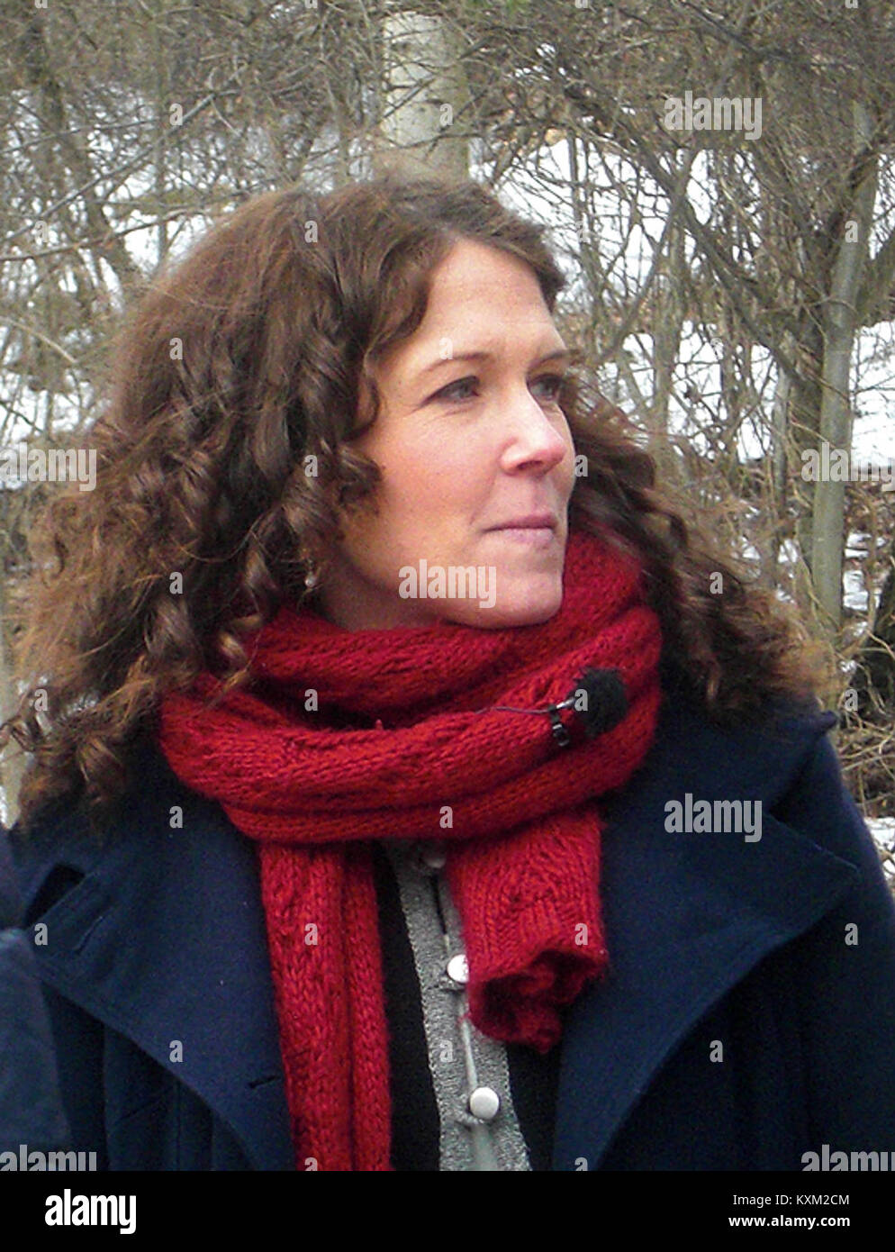 Anna Lindman Barsk Från Sverige till Himlen 2011-02-26 Stock Photo - Alamy