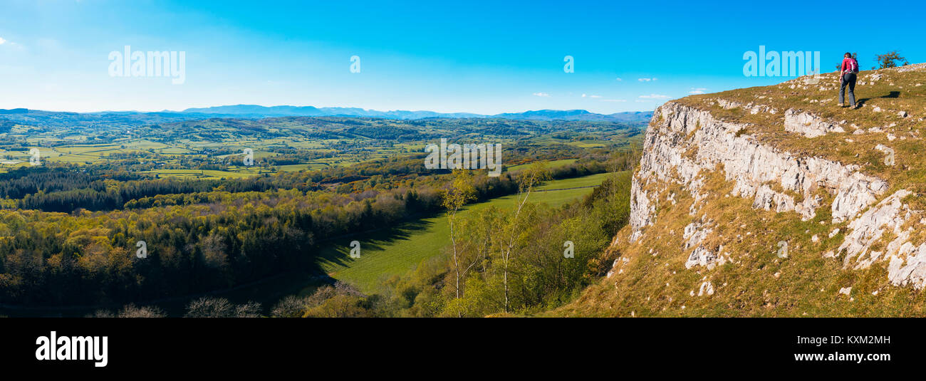 Scout scar hi-res stock photography and images - Alamy