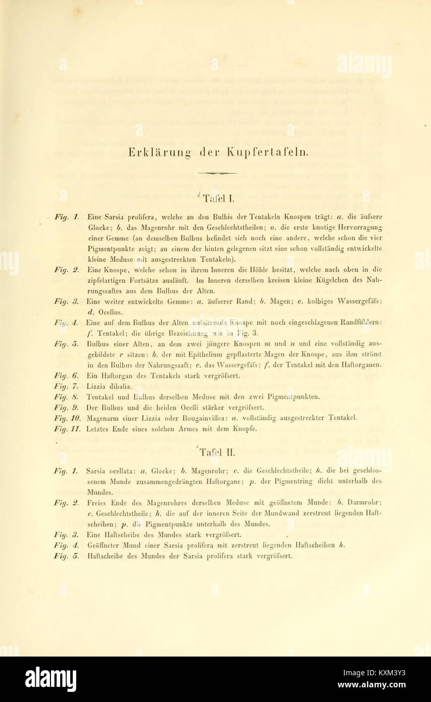 This work describes anatomy and development of invertebrate marine ...