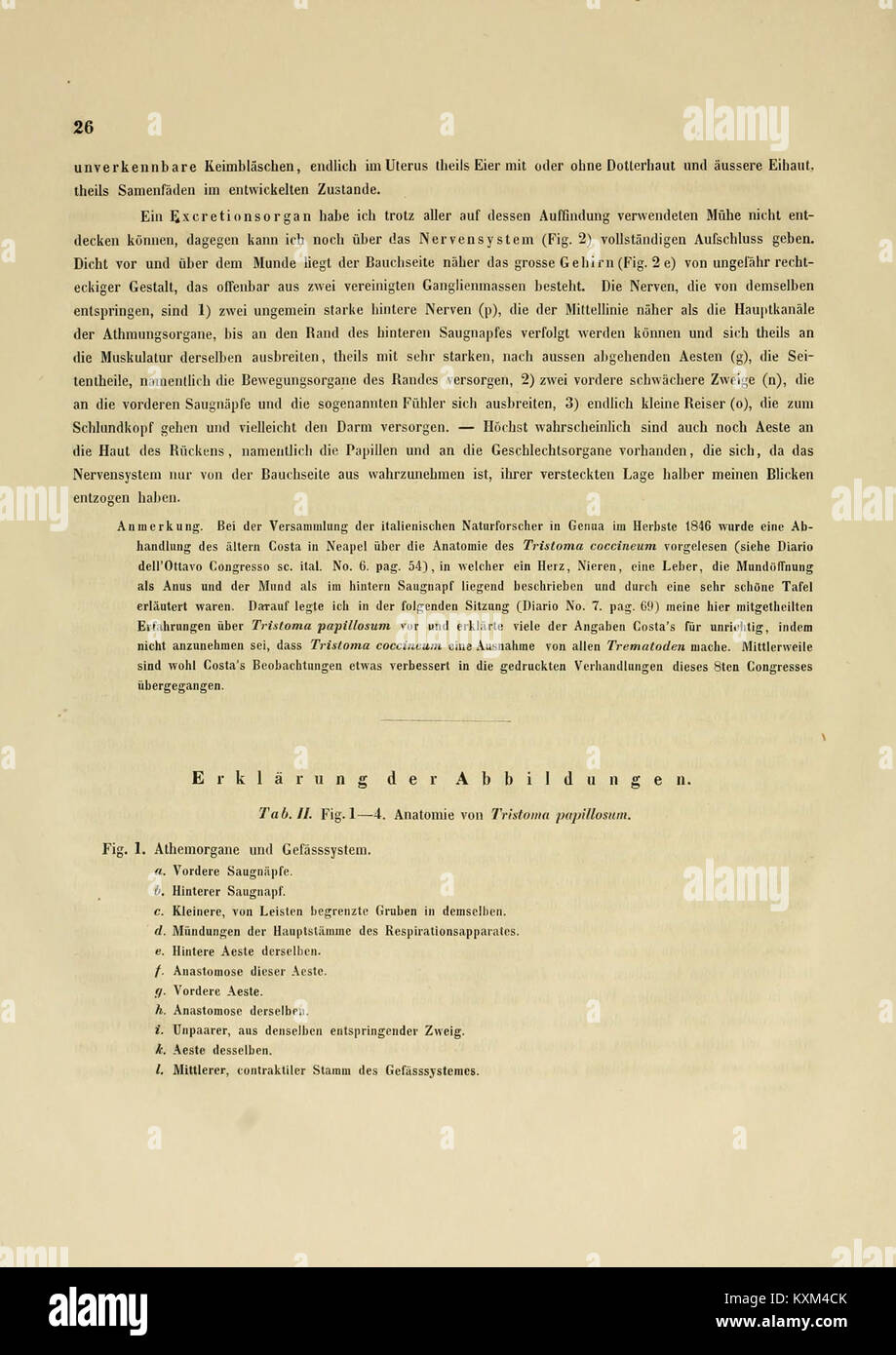 This report from the Royal Zootomic Institute in Würzburg describes ...