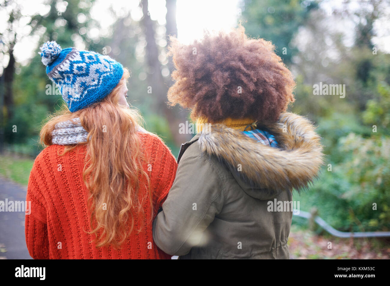 Rear view of friends walking arm in arm Stock Photo - Alamy