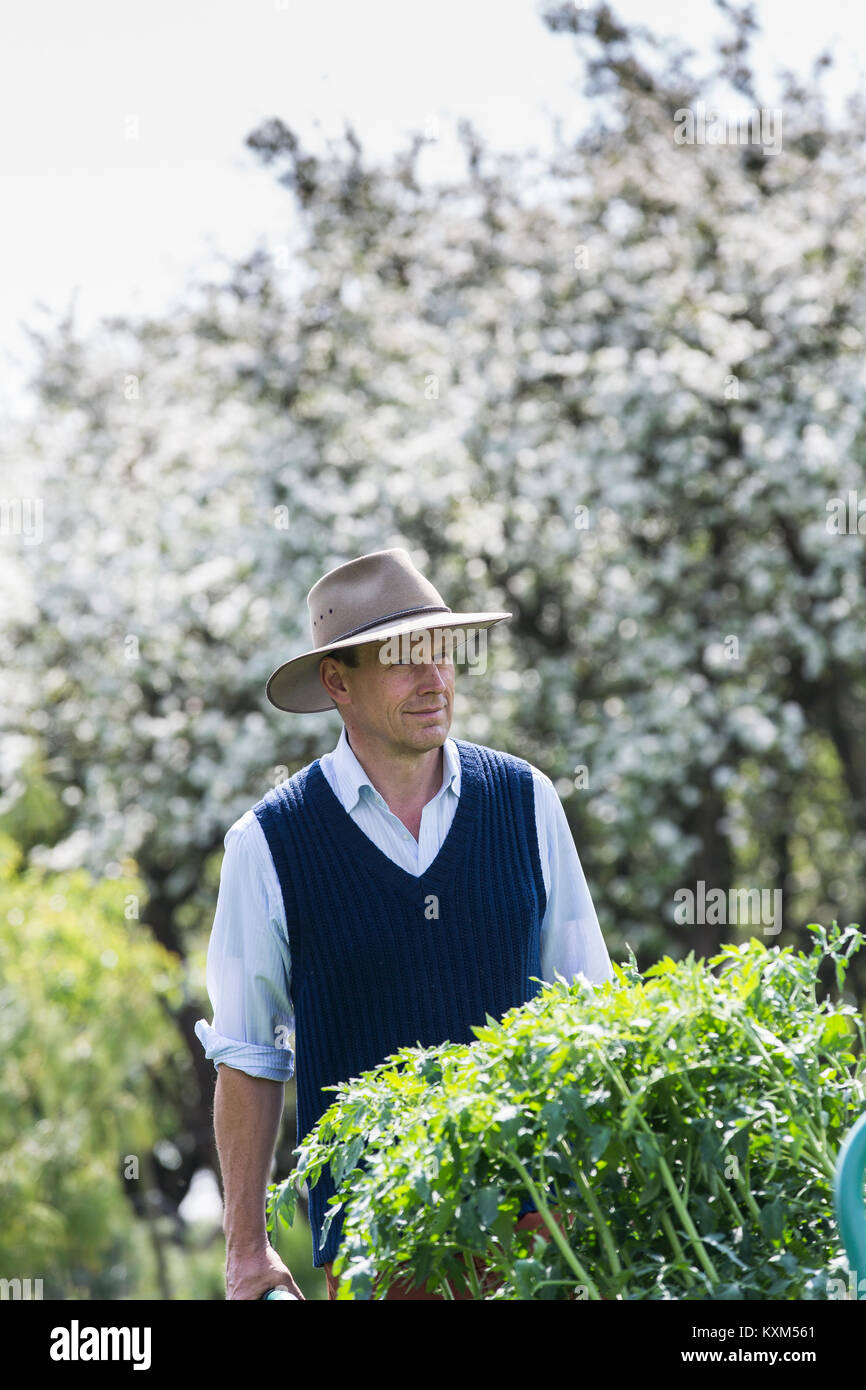 Farmer pushing barrow of plants Stock Photo - Alamy