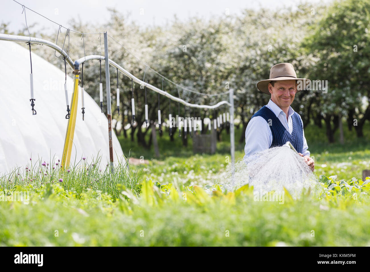 Farmer watering plants with hosepipe Stock Photo - Alamy