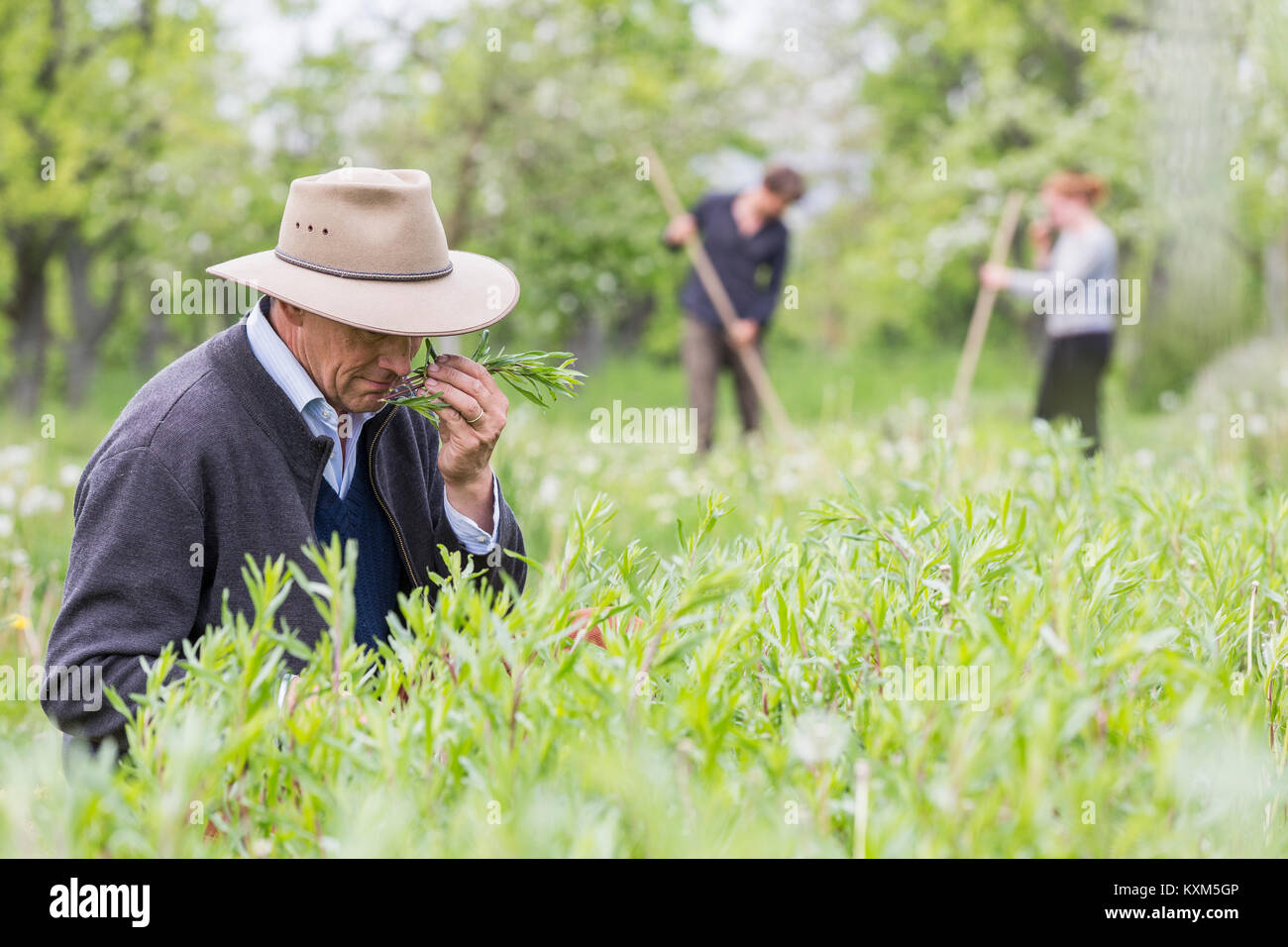 Crop quality hi-res stock photography and images - Alamy