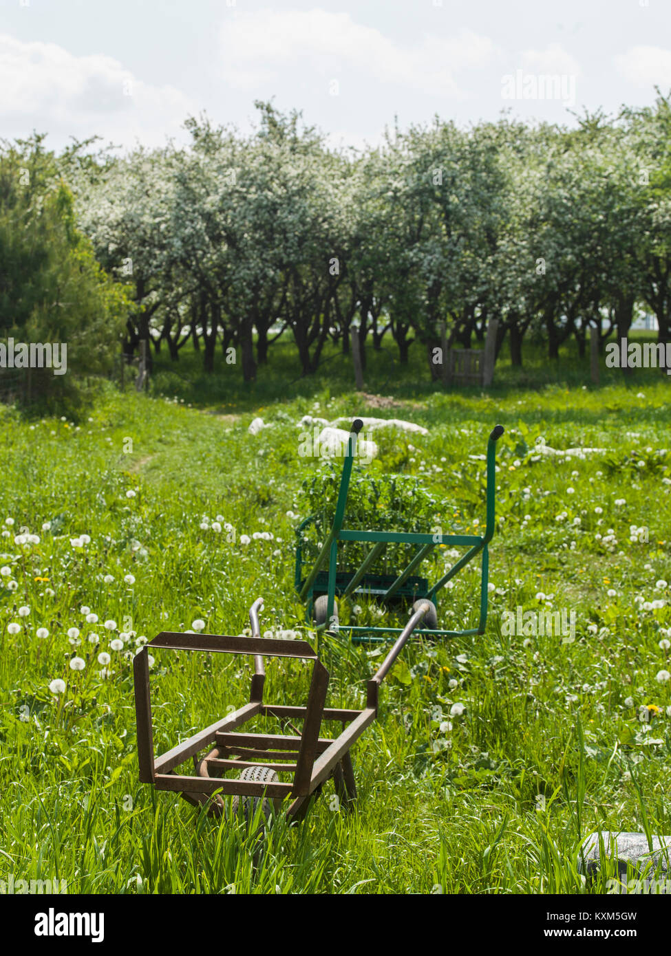 Barrow in field Stock Photo - Alamy