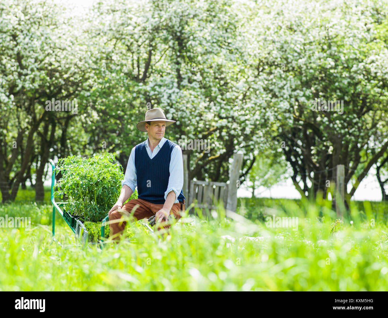 Farmer pushing barrow of plants in field Stock Photo - Alamy