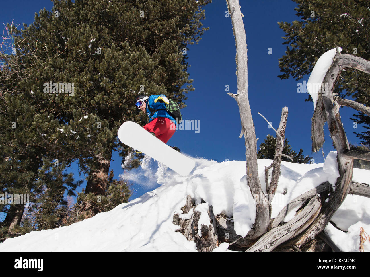 Low angle view of male snowboarder jumping against sky Stock Photo - Alamy