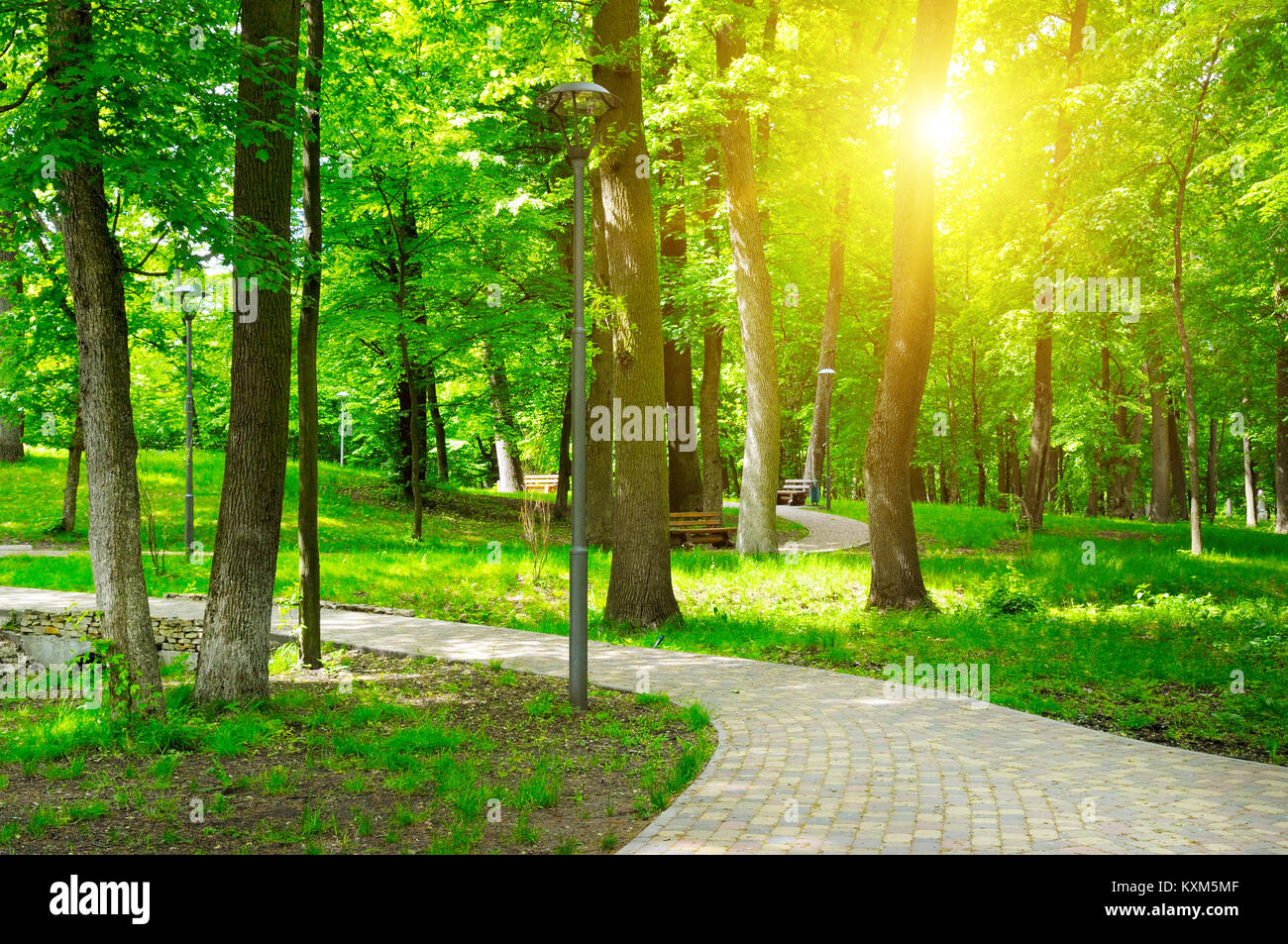 summer park with walking paths Stock Photo - Alamy