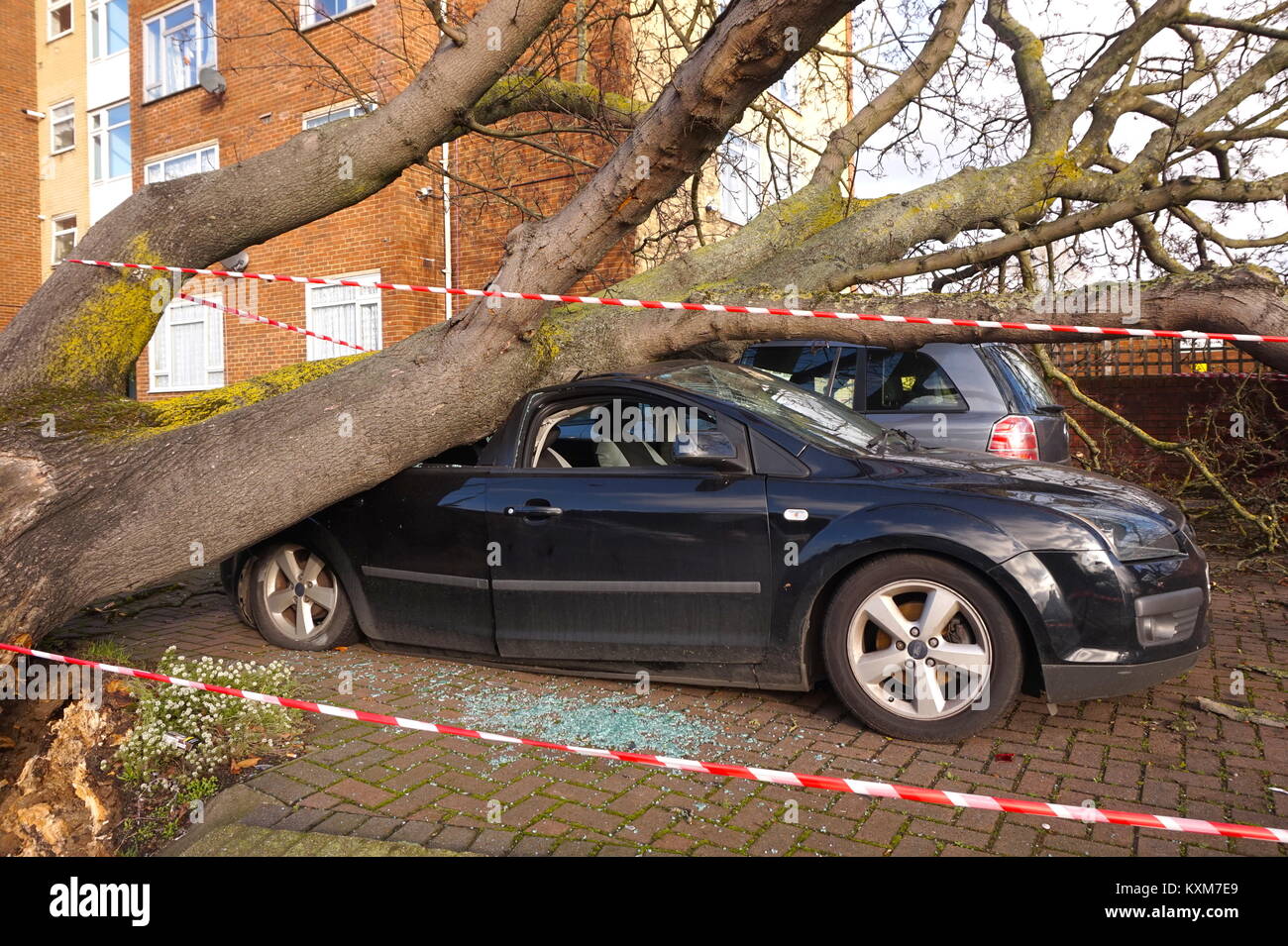 Crushed car by tree hi-res stock photography and images - Alamy