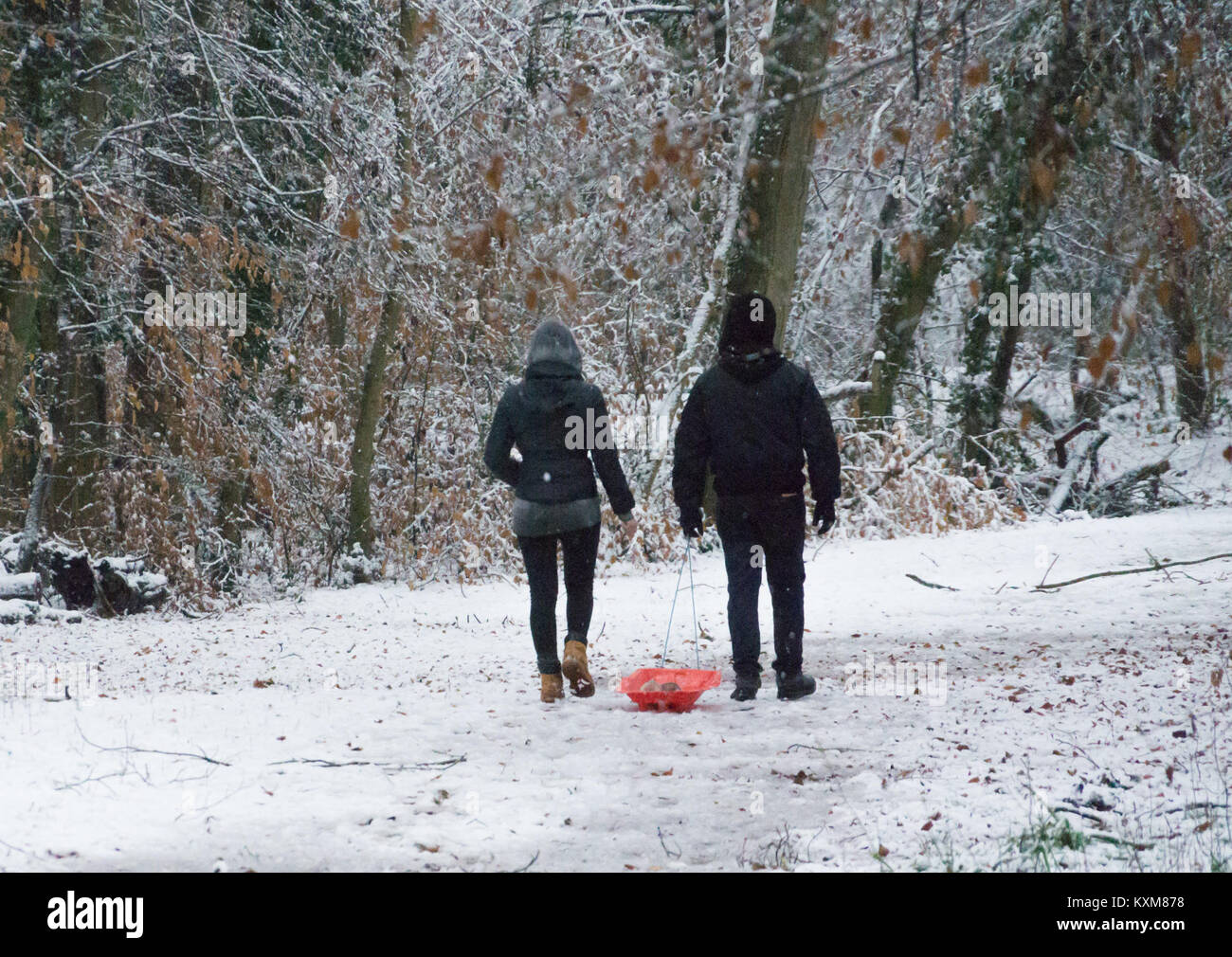 Couple walks with sled down snowy path in Burnham Beeches, Farnham Common Featuring: Atmosphere ...