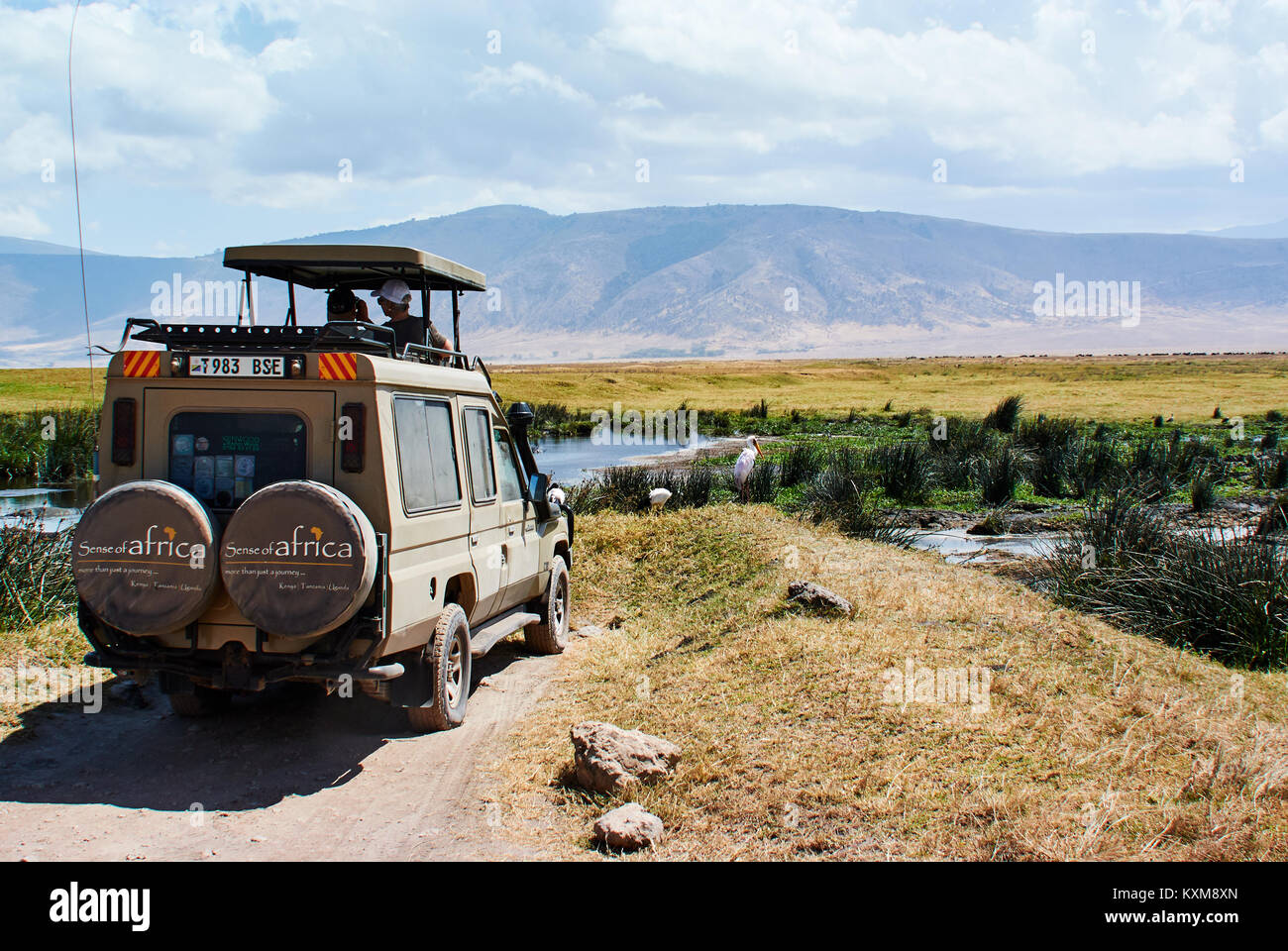 African safari landscape scenery tanzania kenya safari with truck Stock ...
