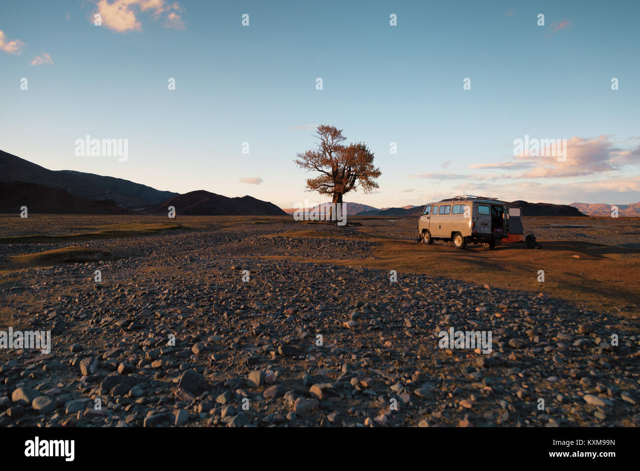 Camping site camper van sunset light lonely tree Mongolia river bed ...