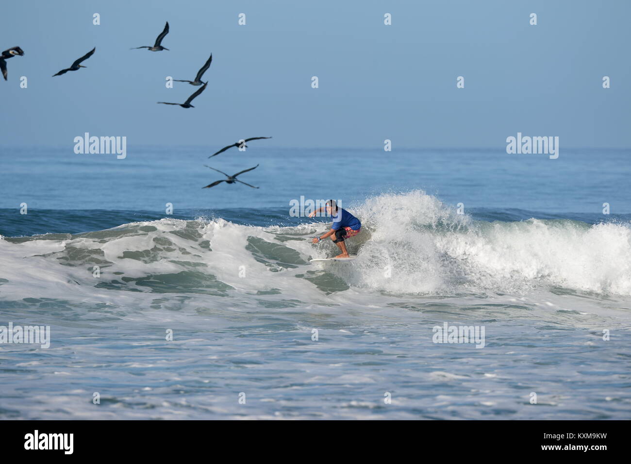 Overhead wave surfer hi-res stock photography and images - Alamy