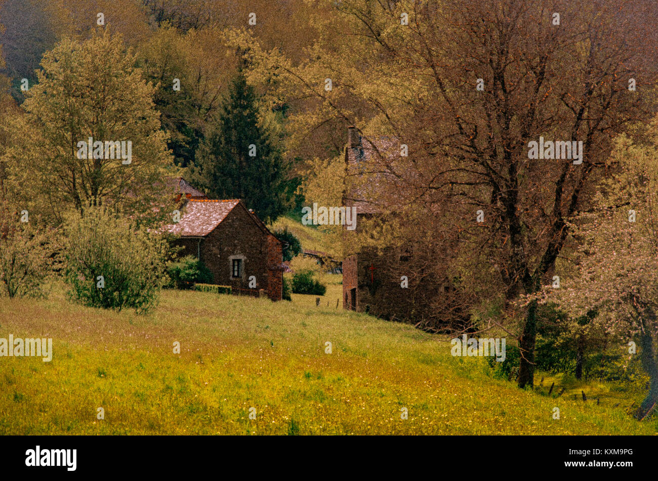 Landscape with fields trees and houses typical of the French ...