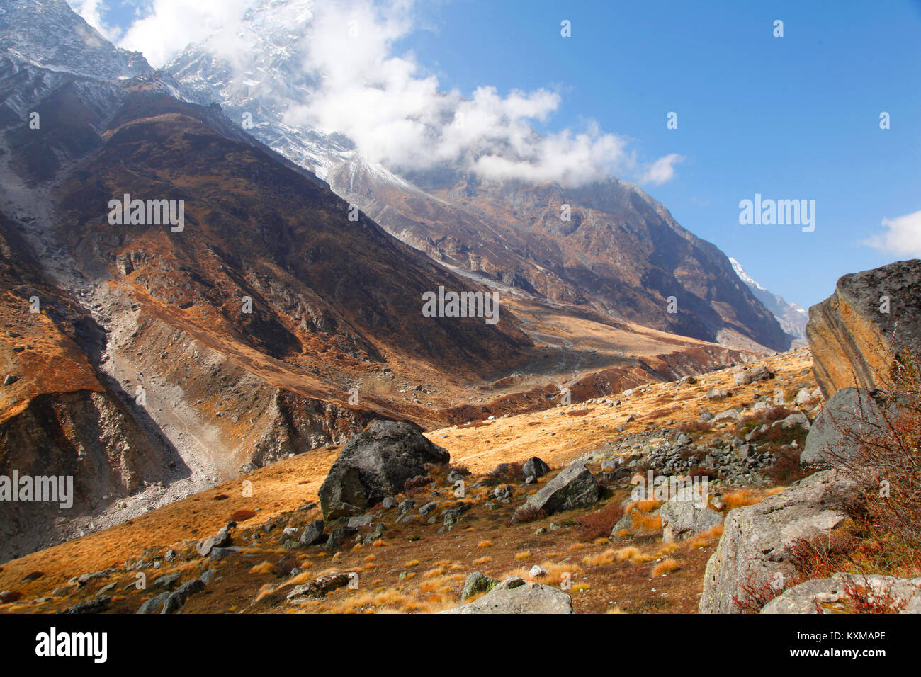 Mountain Valley, Vasudhara Falls (Badrinath), Bhadrinath Temple, it ...