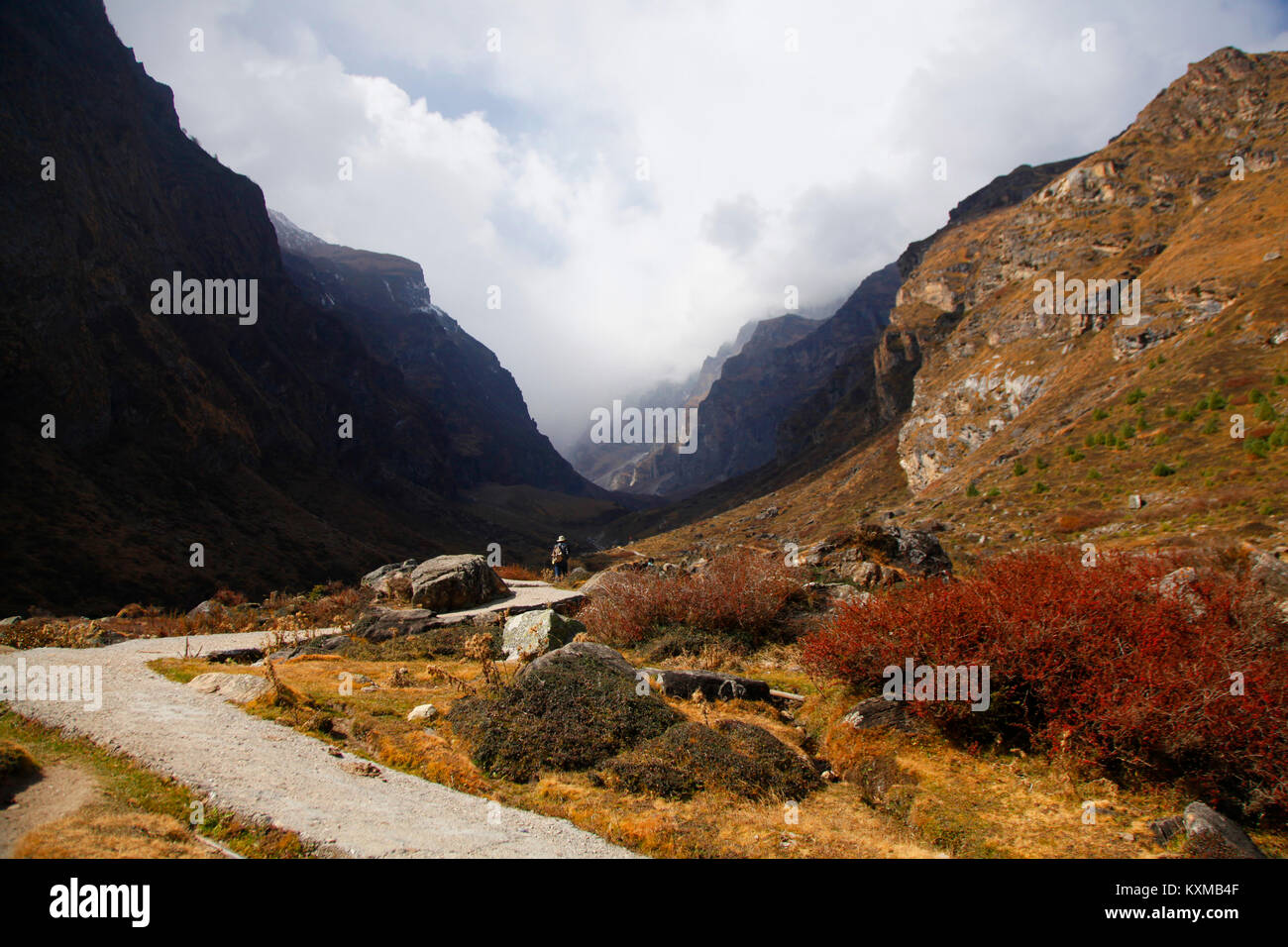 Mountain Valley, Vasudhara Falls (Badrinath), Bhadrinath Temple, it ...