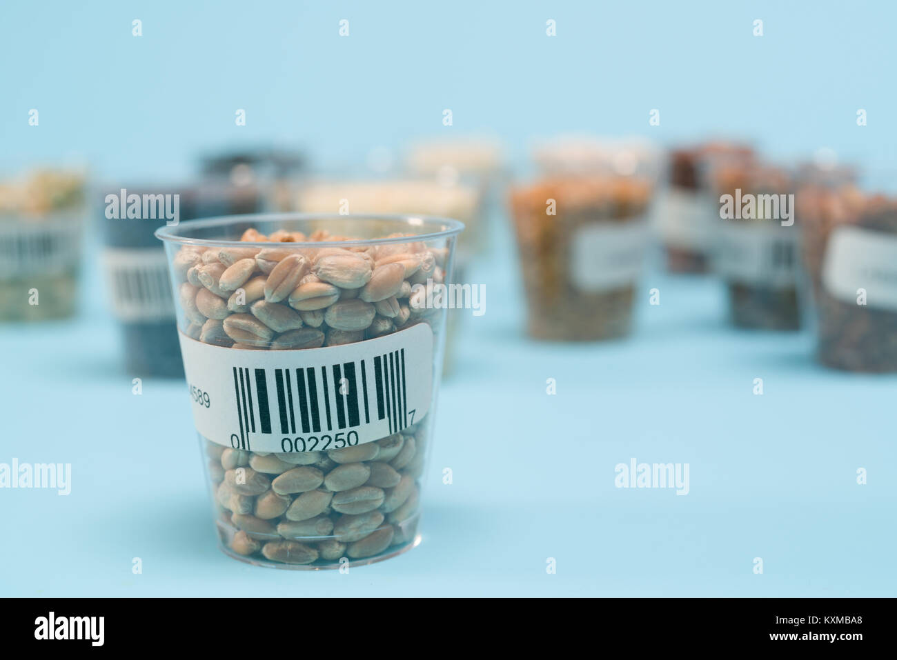 seeds of agricultural plants in test tube with barcodes in the ...