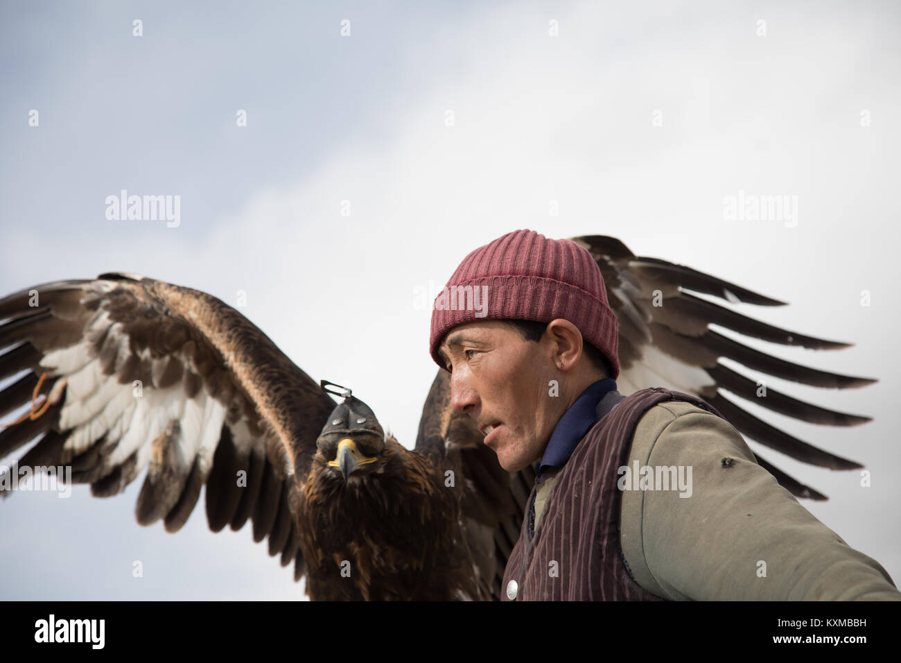 Kazakh Mongolian golden eagle hunter training practicing Mongolia ...