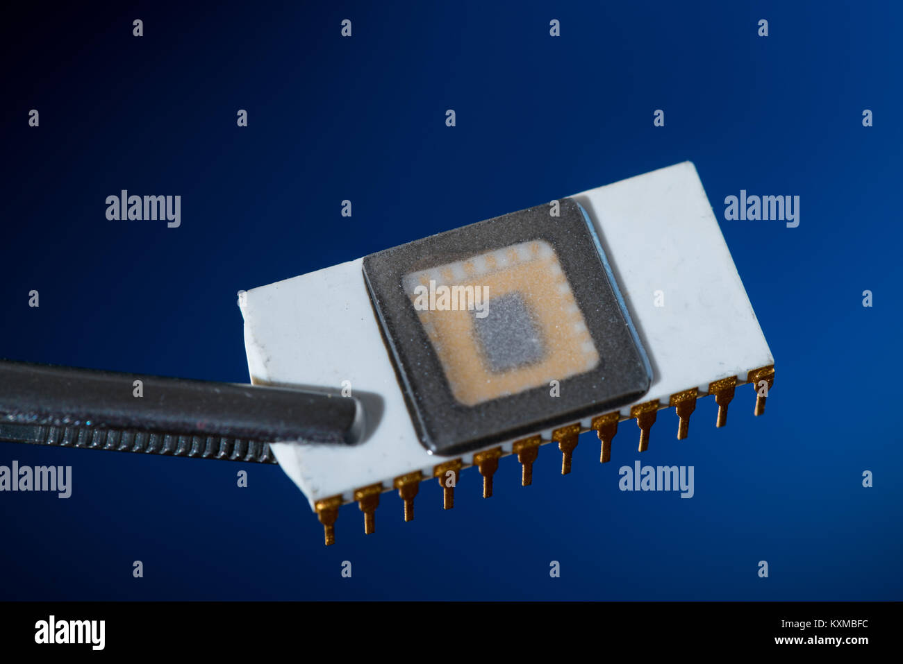 Electronic chip isolated on dark blue Stock Photo - Alamy