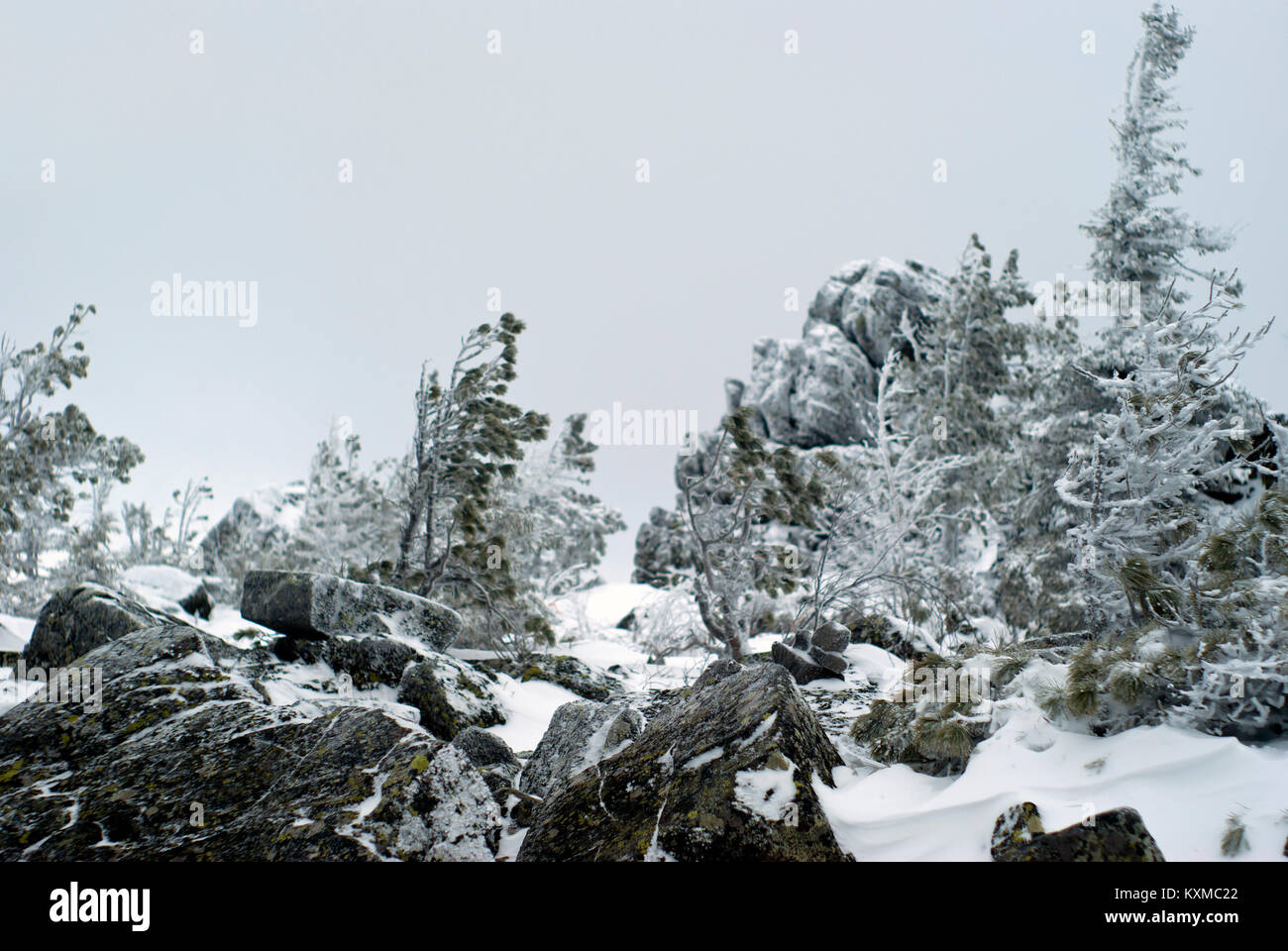 a severe ice winter landscape of a high mountain plateau during an ...