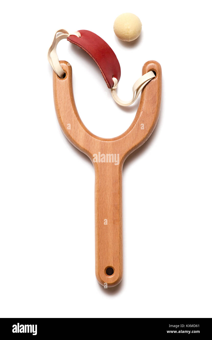 Gorgeous slingshot from oak tree, isolated on white background Stock ...