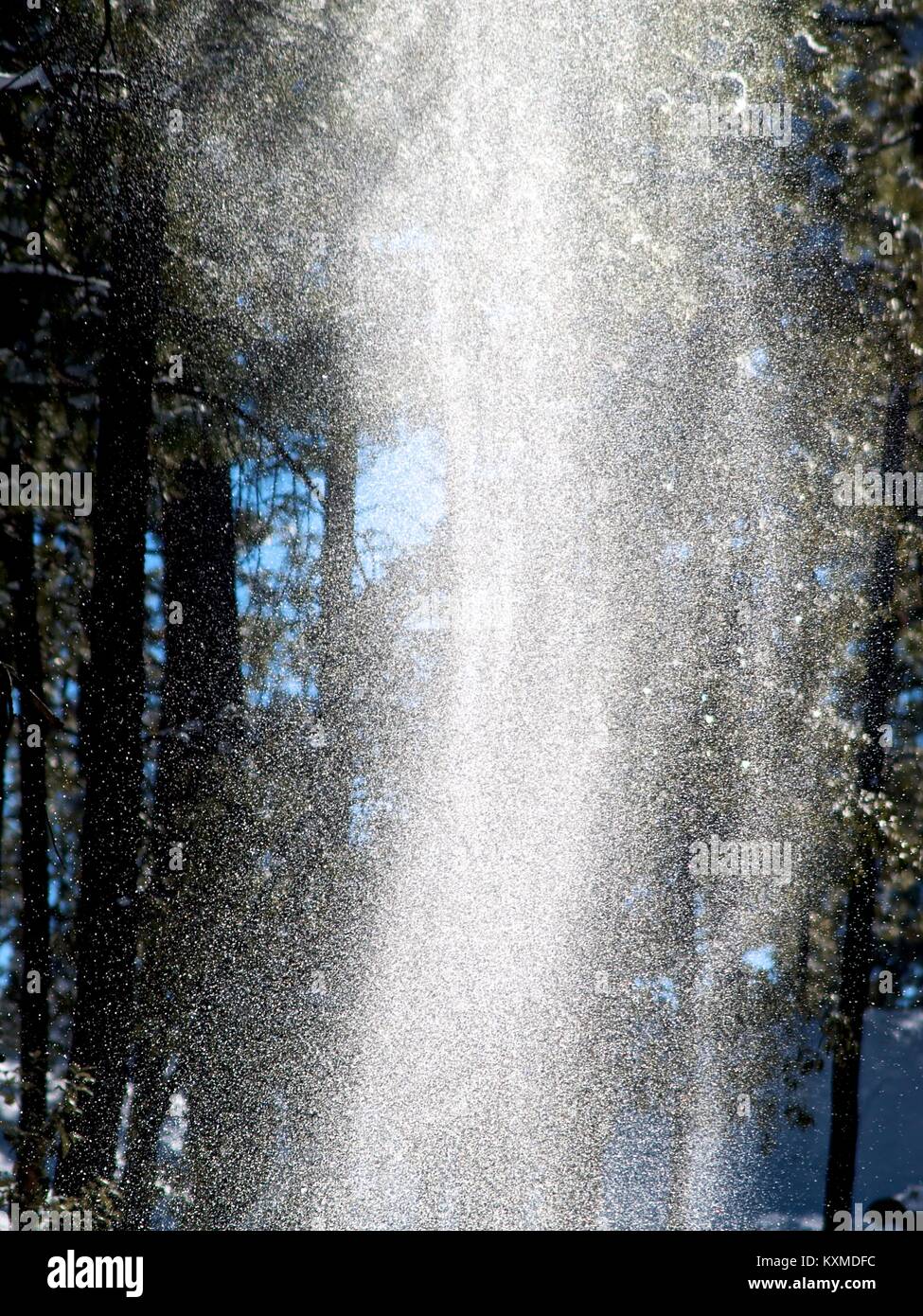 Falling from a tree hi-res stock photography and images - Alamy